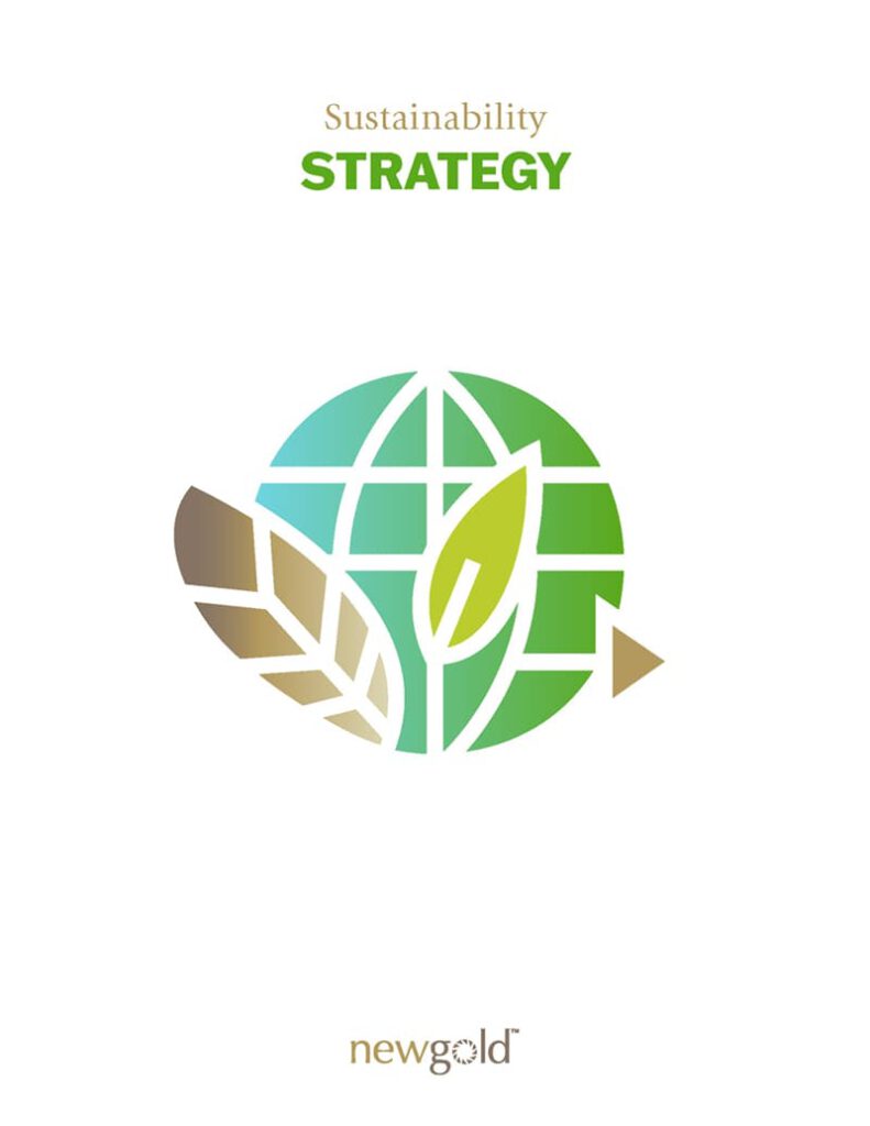 Strategy Newgold Sustainability
